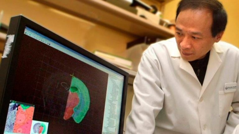 ¿Un algoritmo en el cerebro es la base de la inteligencia? - INVDES