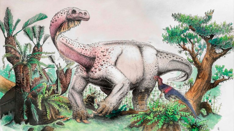 brontosaurio archivos - INVDES