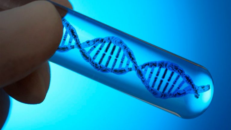 Los Hitos Y Precedentes De La Modificación Genética En Humanos Invdes