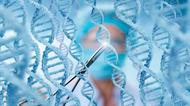 Una nueva herramienta CRISPR logra mayor precisión en la edición ...