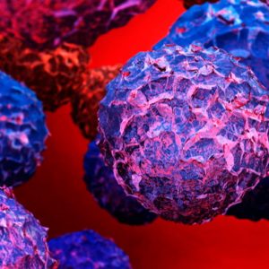 hallazgos muestran que todas las células inmaduras pueden convertirse ...