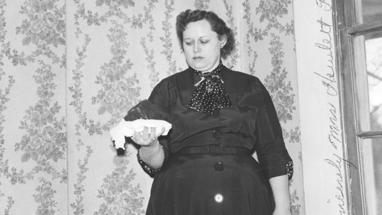 Ann Hodges, la única persona que ha sido golpeada por un meteorito - INVDES